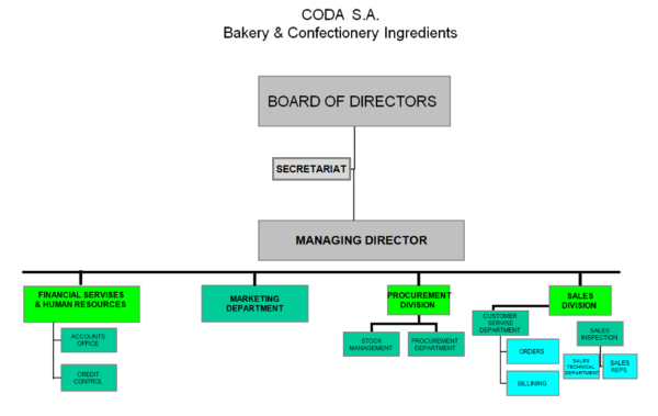 Organizational Chart - Coda